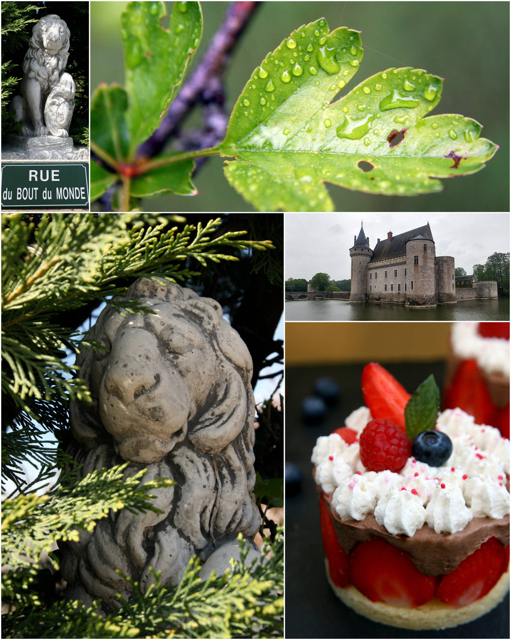 Gâteau fruits rouges et chocolat : comme un fraisier cacaoté...